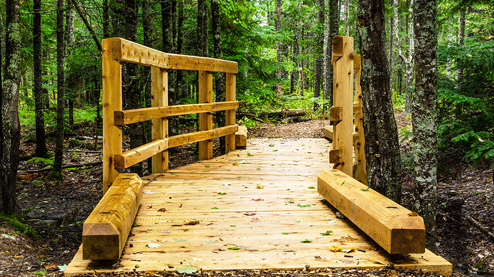 Building a Better Path: Seven Things Investors Need to Know for 2017 ...