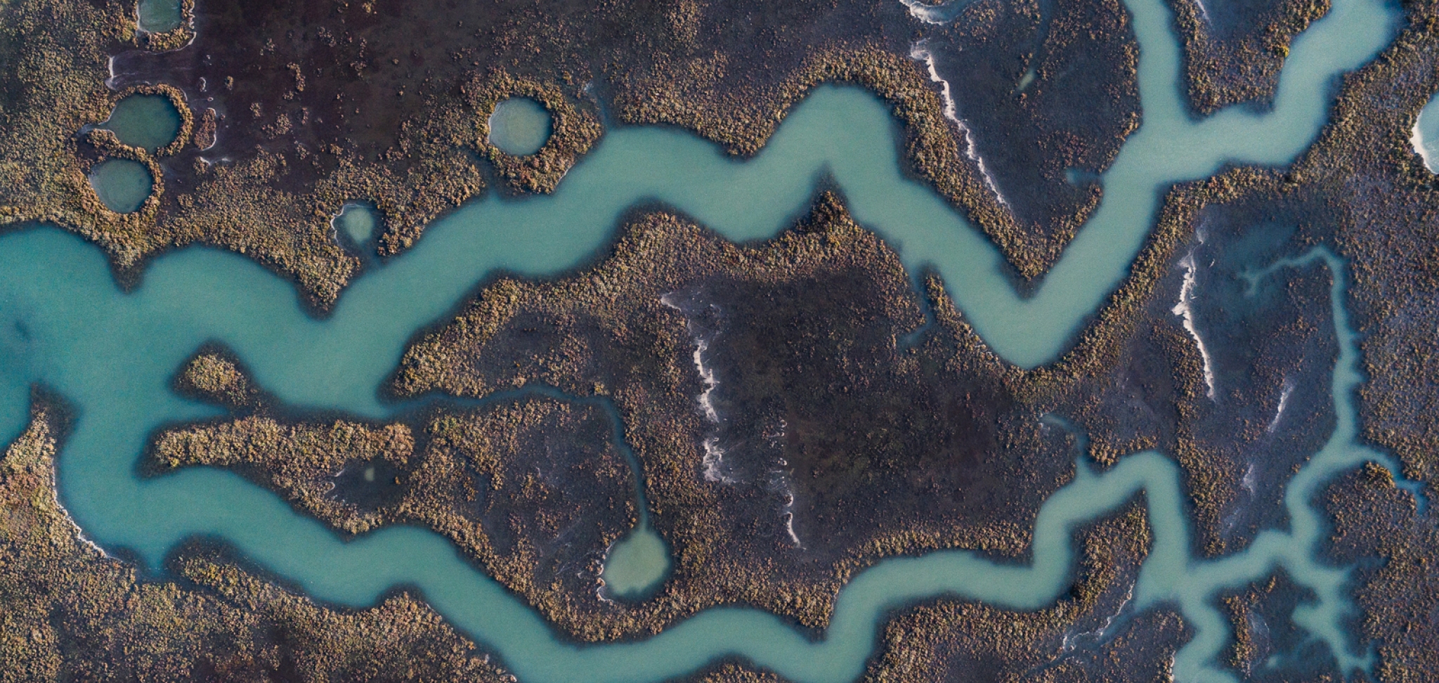 Opus Virus: Destruction-to-Restoration-to-Reformation. – AdvisorAnalyst.com