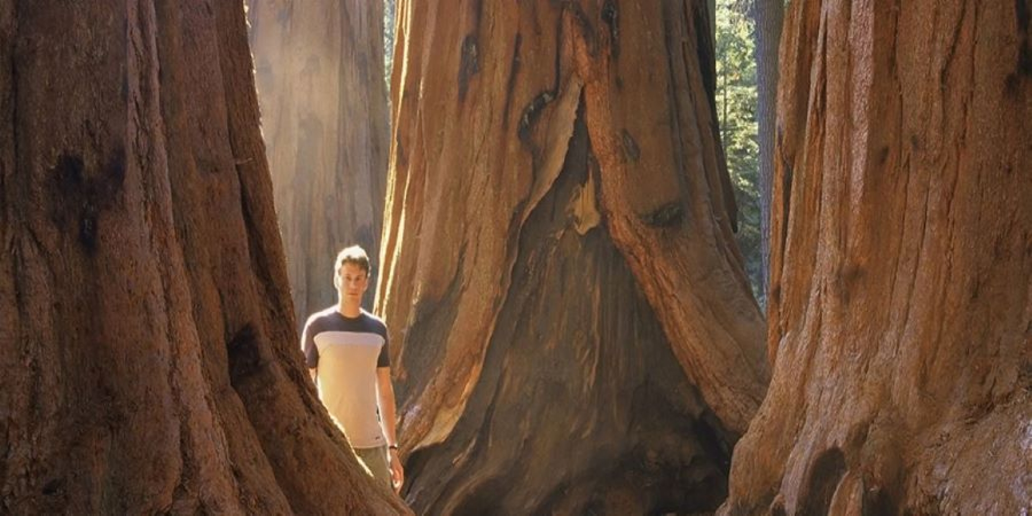 Have the biggest mega-caps run too far? – AdvisorAnalyst.com