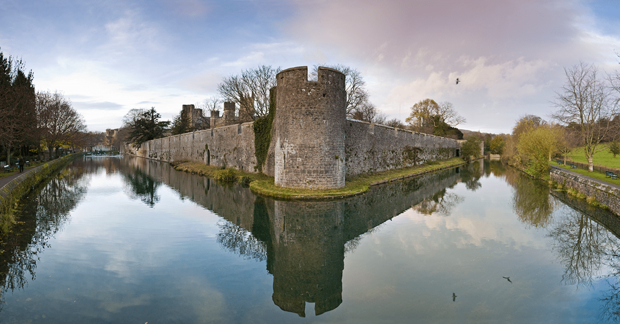 The Moat Hunters: Why AI Disruption Is a Stock-Picker’s Market, Not a ...