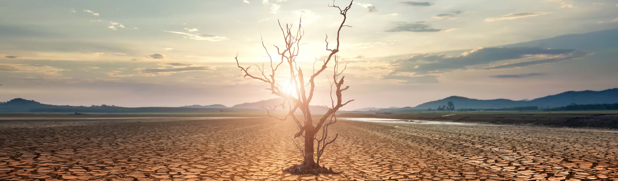 Climate change risk metrics: The rising tide – AdvisorAnalyst.com