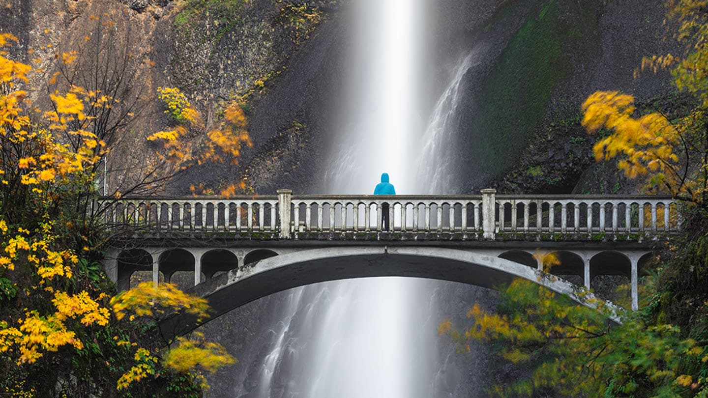 Capital Group: Rob Lovelace on the year ahead – AdvisorAnalyst.com