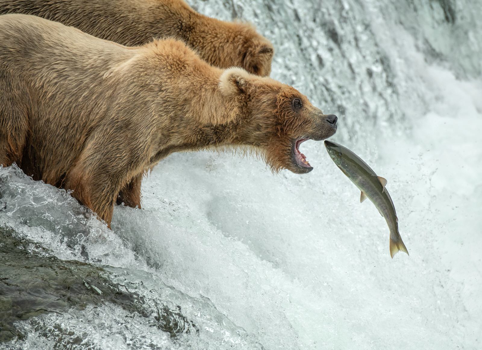 GS: Balanced Bear Despair Part 3 – Strategies to keep it real with ...