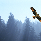 Is a financial advisor worth the cost? | AdvisorAnalyst.com