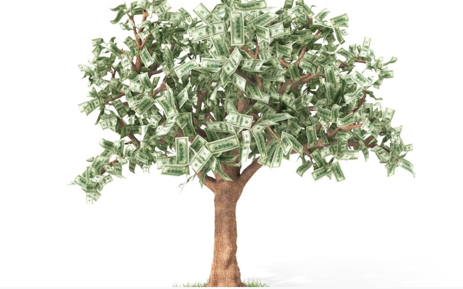 Deforestation of Magic Money Trees – AdvisorAnalyst.com