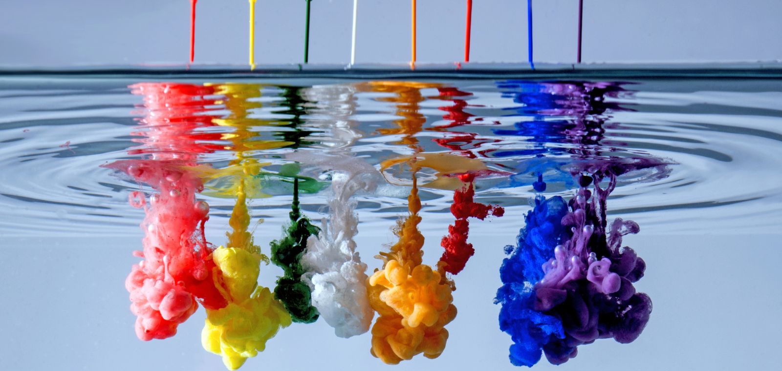 Equity Outlook: Preparing for Profound Policy-Driven Change – AdvisorAnalyst.com