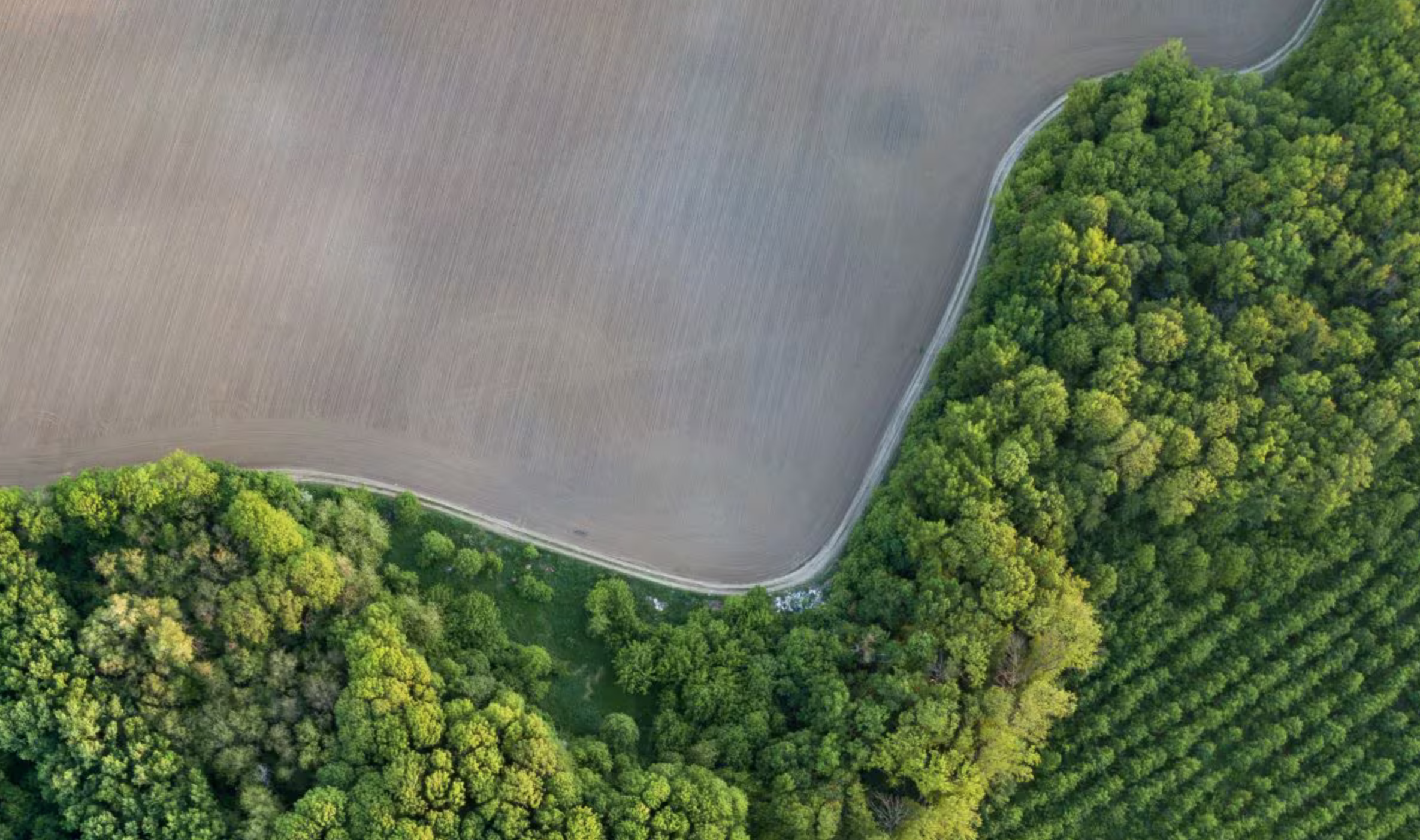 High Hopes, Solid Grounds – AdvisorAnalyst.com