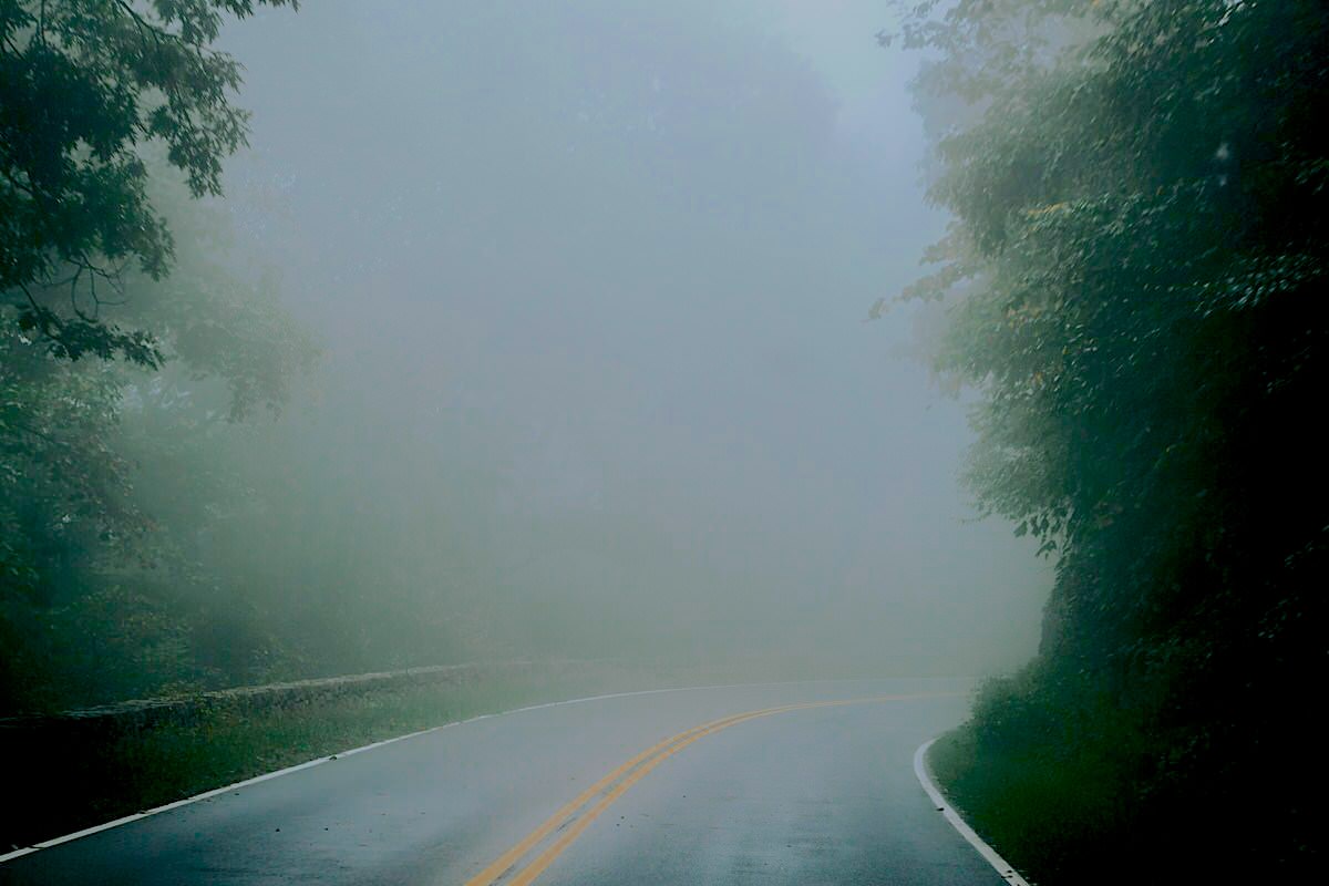 The Fog Ahead: BCA’s Peter Berezin on Stagflation, Policy Paralysis ...