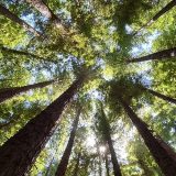 51% Higher and Still Climbing: First Quantum Flashes Bullish Signals ...