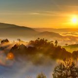 The Primary Rationale for the Gold Bull’s Run is Persistent Apathy ...