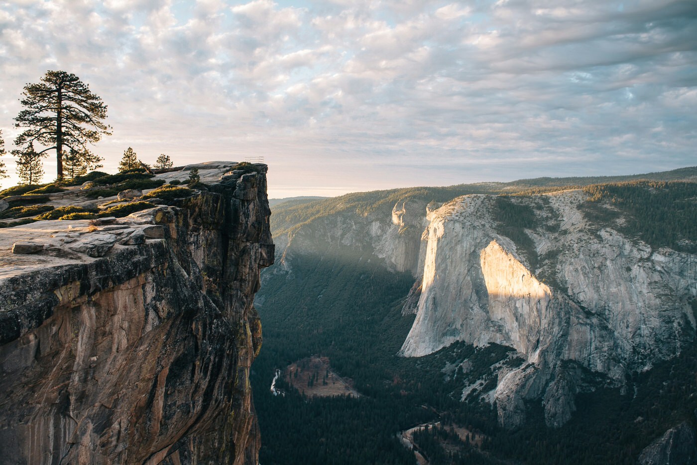 Chase the Road Runner but don’t go over the cliff – AdvisorAnalyst.com