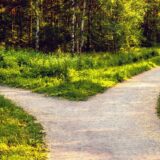 Canadian Preferred Equity: The Best-Kept Secret in Fixed Income for ...