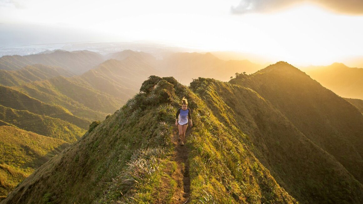 The Uneasy Path: National Bank Investments’ CIO on Markets, Momentum ...